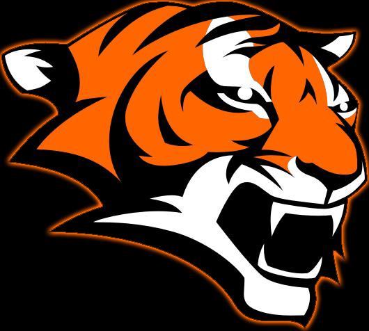 Marple Newtown High School Tiger Football